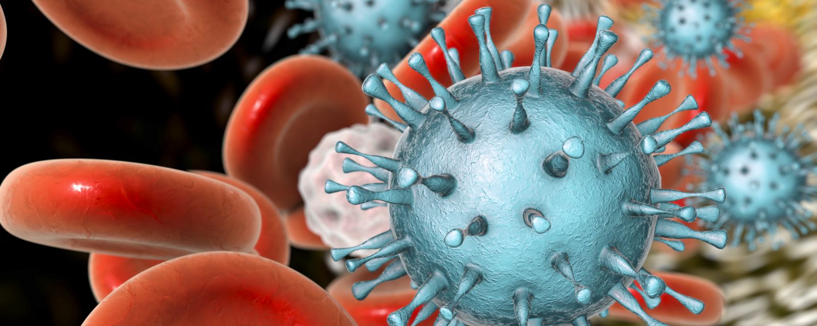 Blutbilder - Praxis Dresden | Heilpraktikerin Katrin Geißler